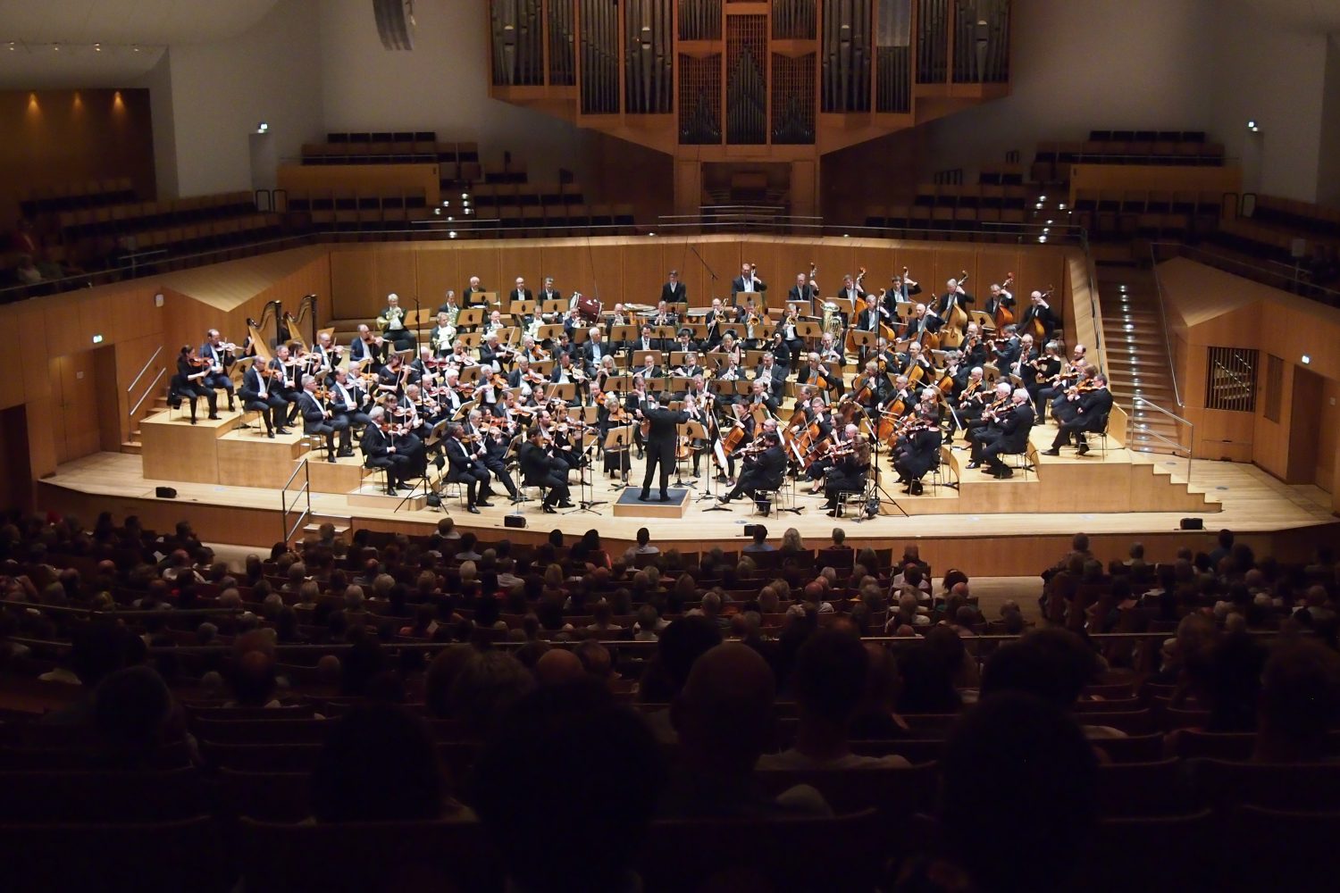 Concerts - management and music